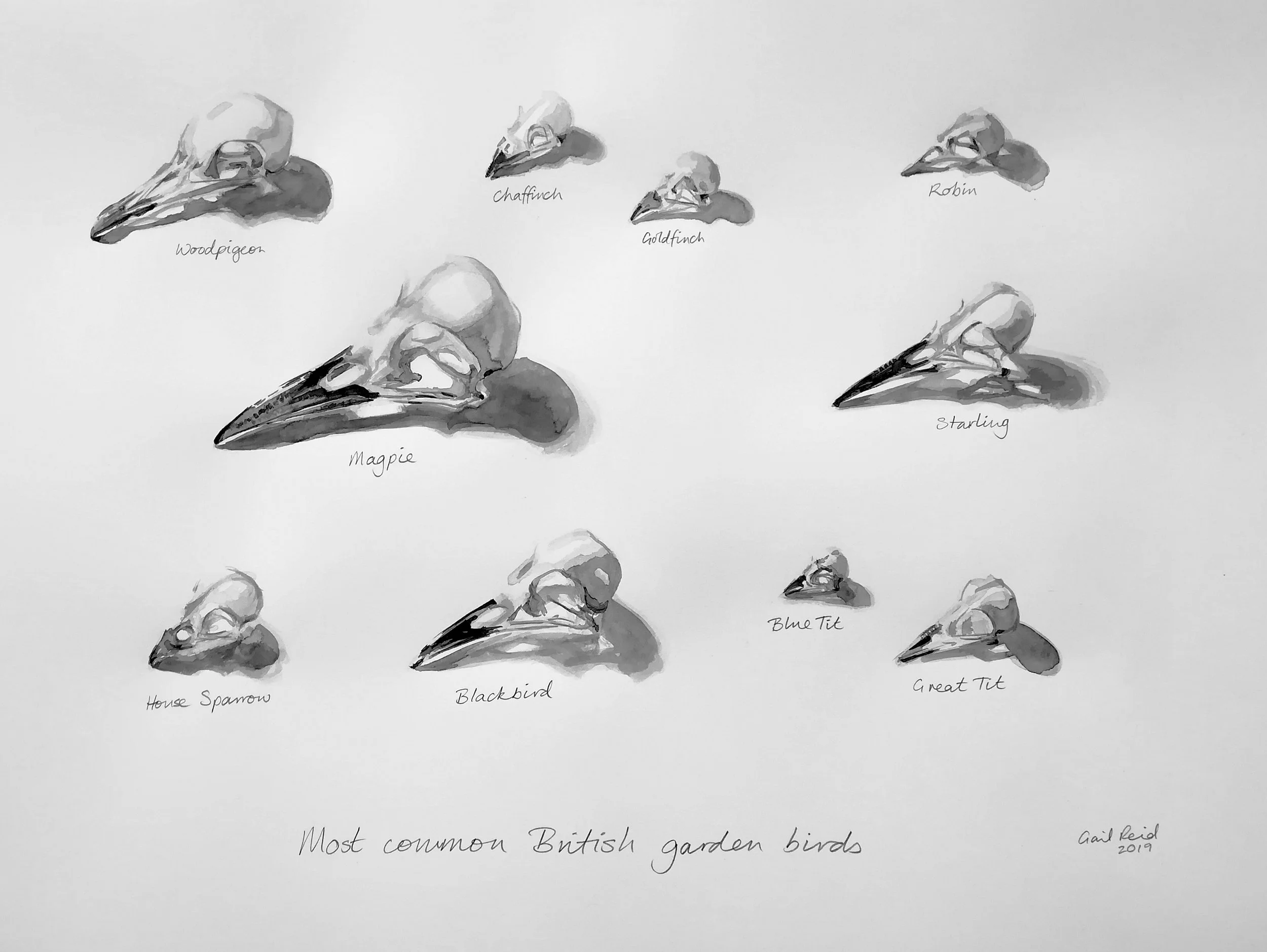 Still Life — GAIL REID ARTIST