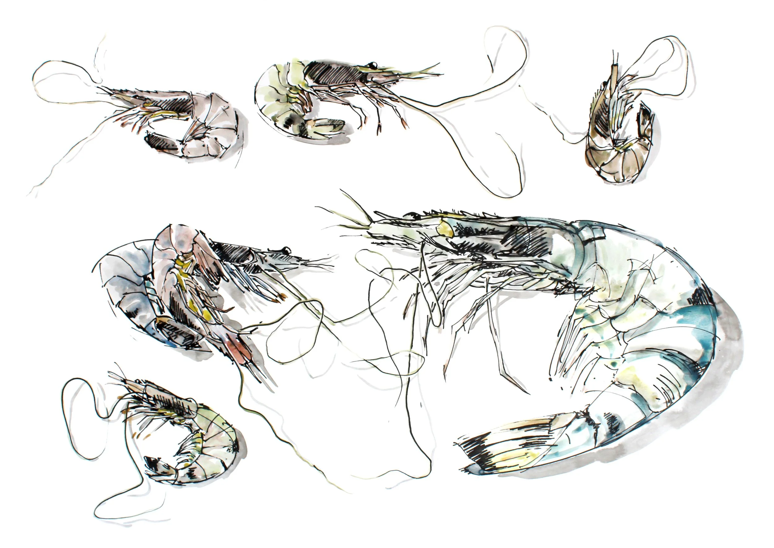 From idea to finished canvas — GAIL REID ARTIST