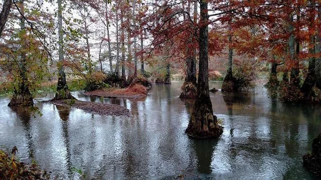 Explore the Region — Bartlett Chamber of Commerce