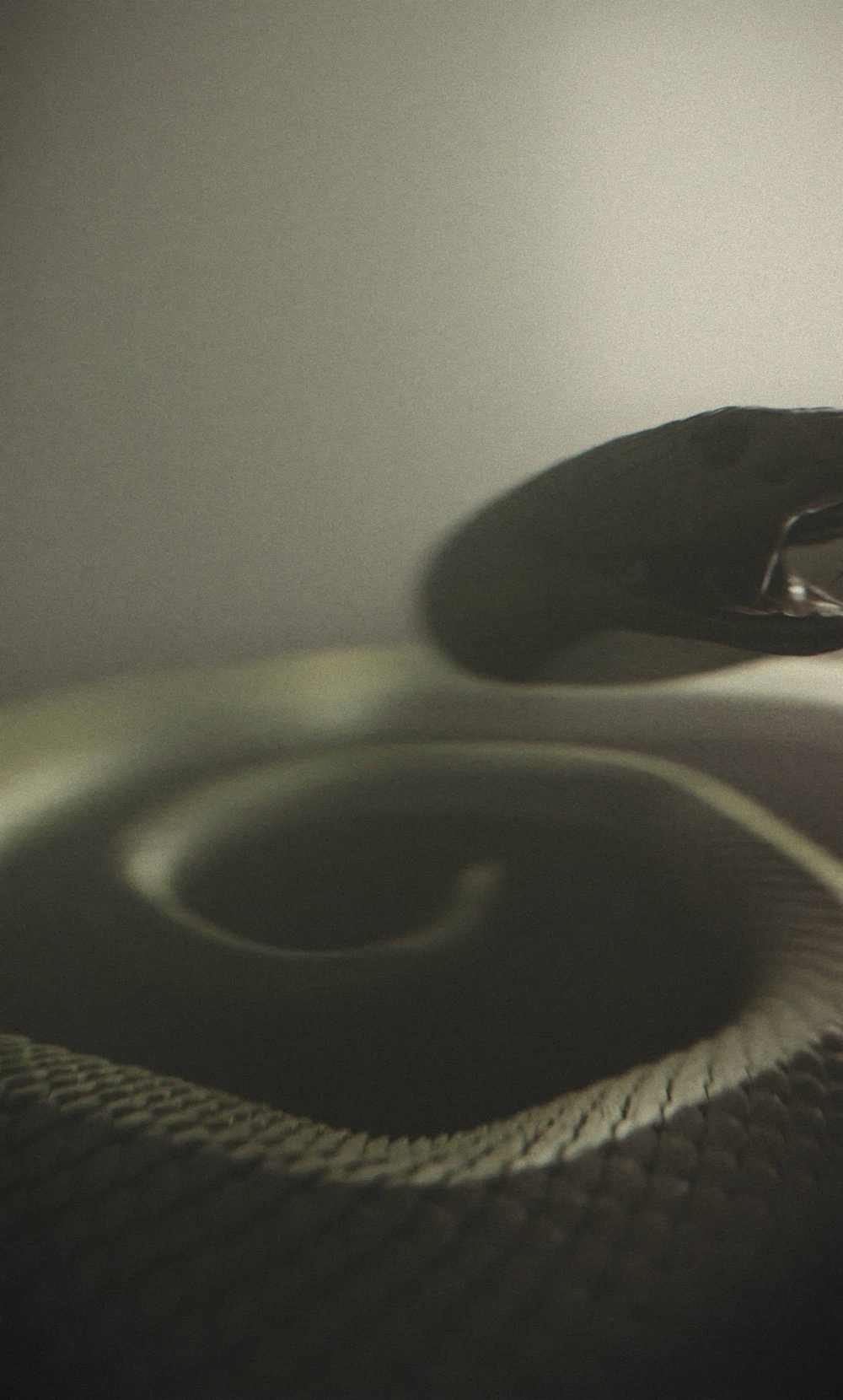 Motley Crüe - The Stadium Tour Visuals — Maxime Truchon | 3D Generalist