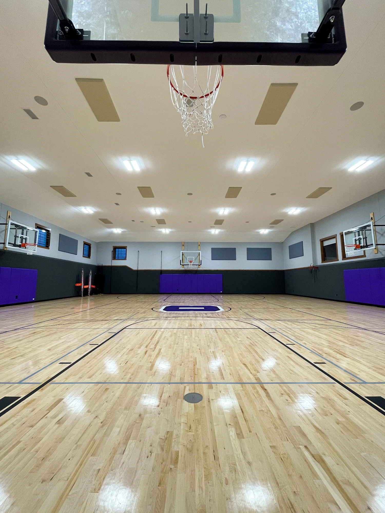 THE OT GYM