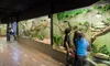 Reptilia — Toronto Attractions Council