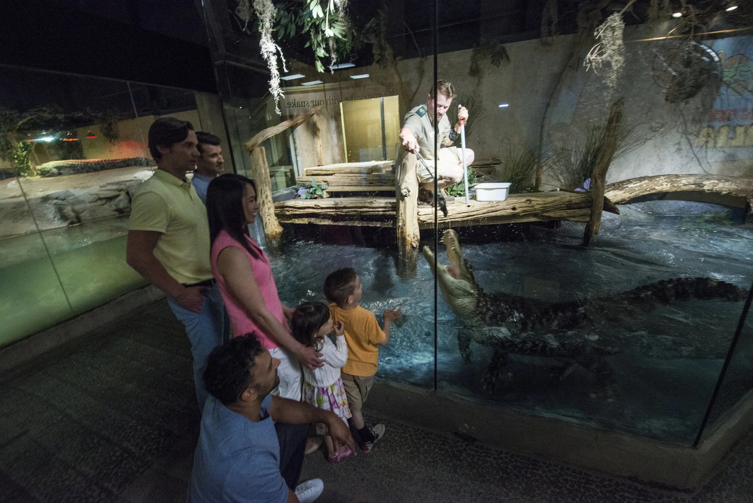 Reptilia — Toronto Attractions Council