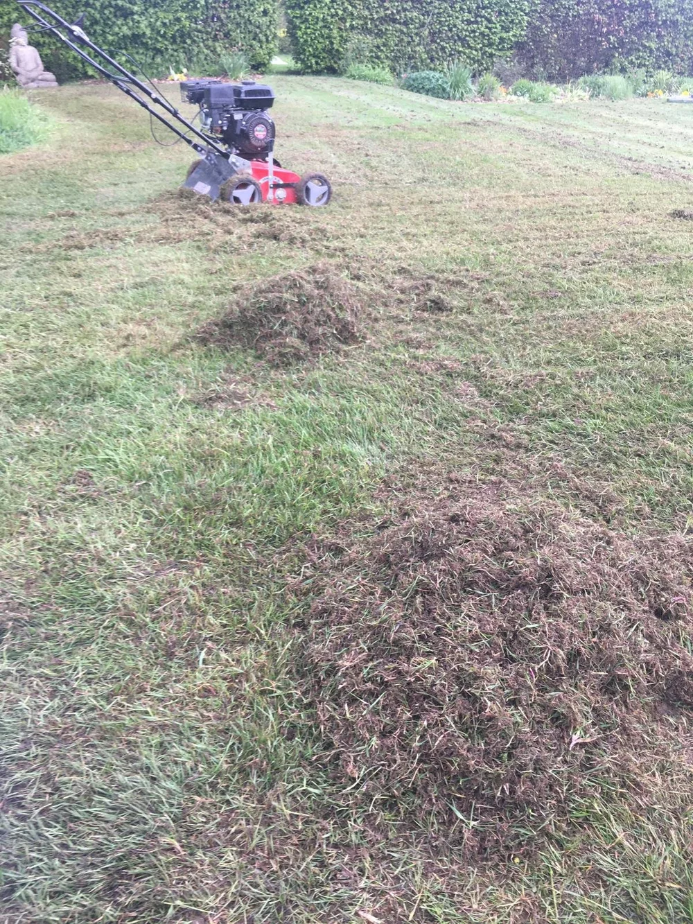 What is Scarification? — Lawn Treatments - Hampshire