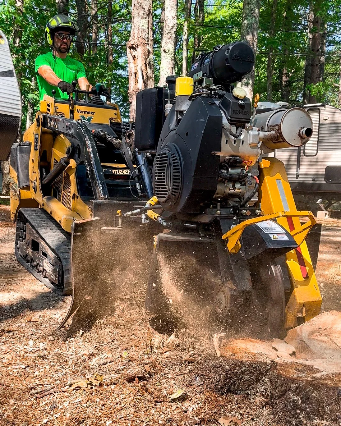 TOP BRANCH TREE SERVICE | Expert Tree Care