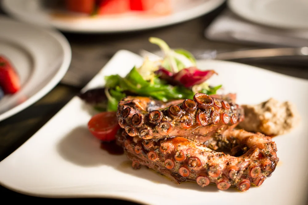 VOLOS | Greek Cuisine
