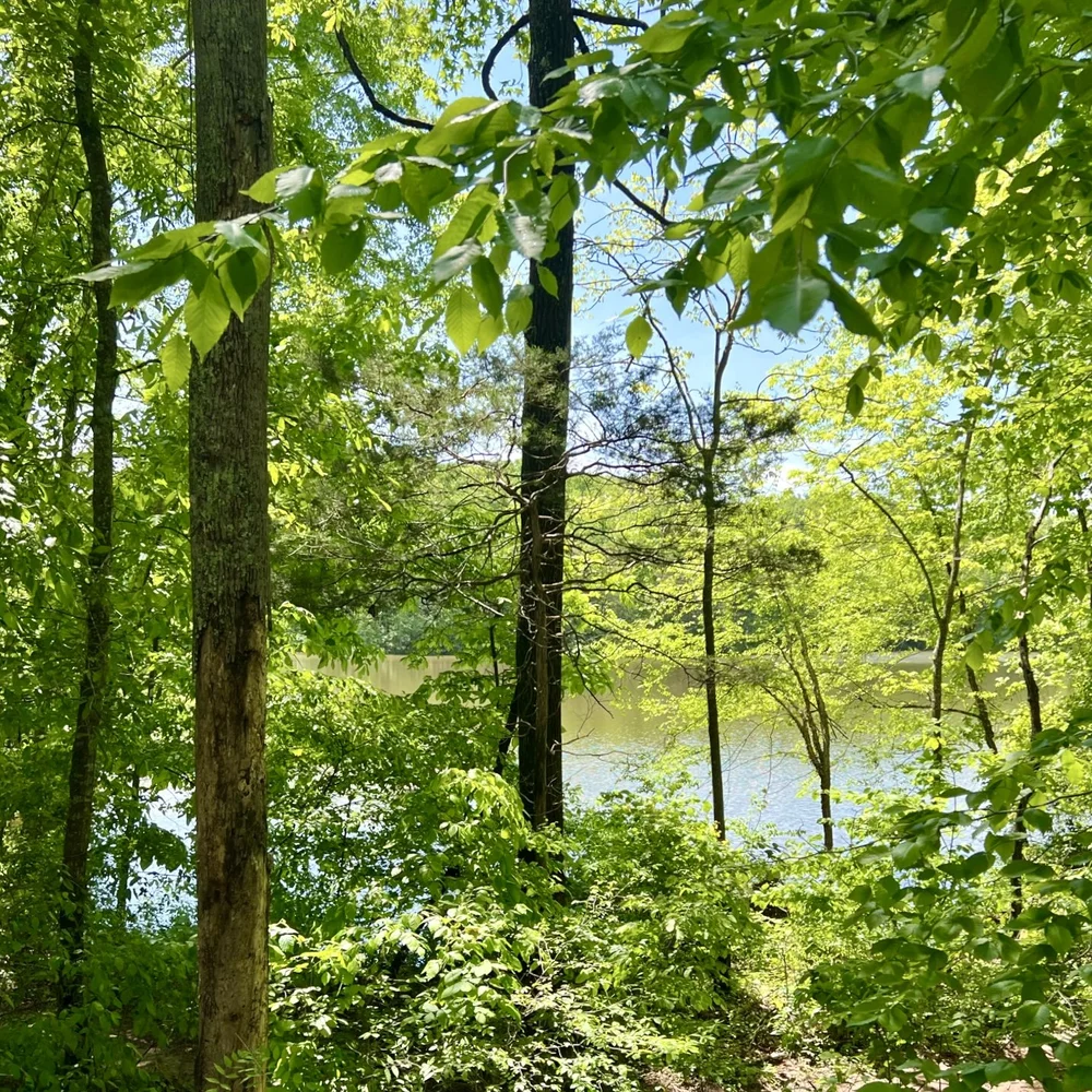 Reedy Fork Trail - Greensboro, NC — hike more worry less