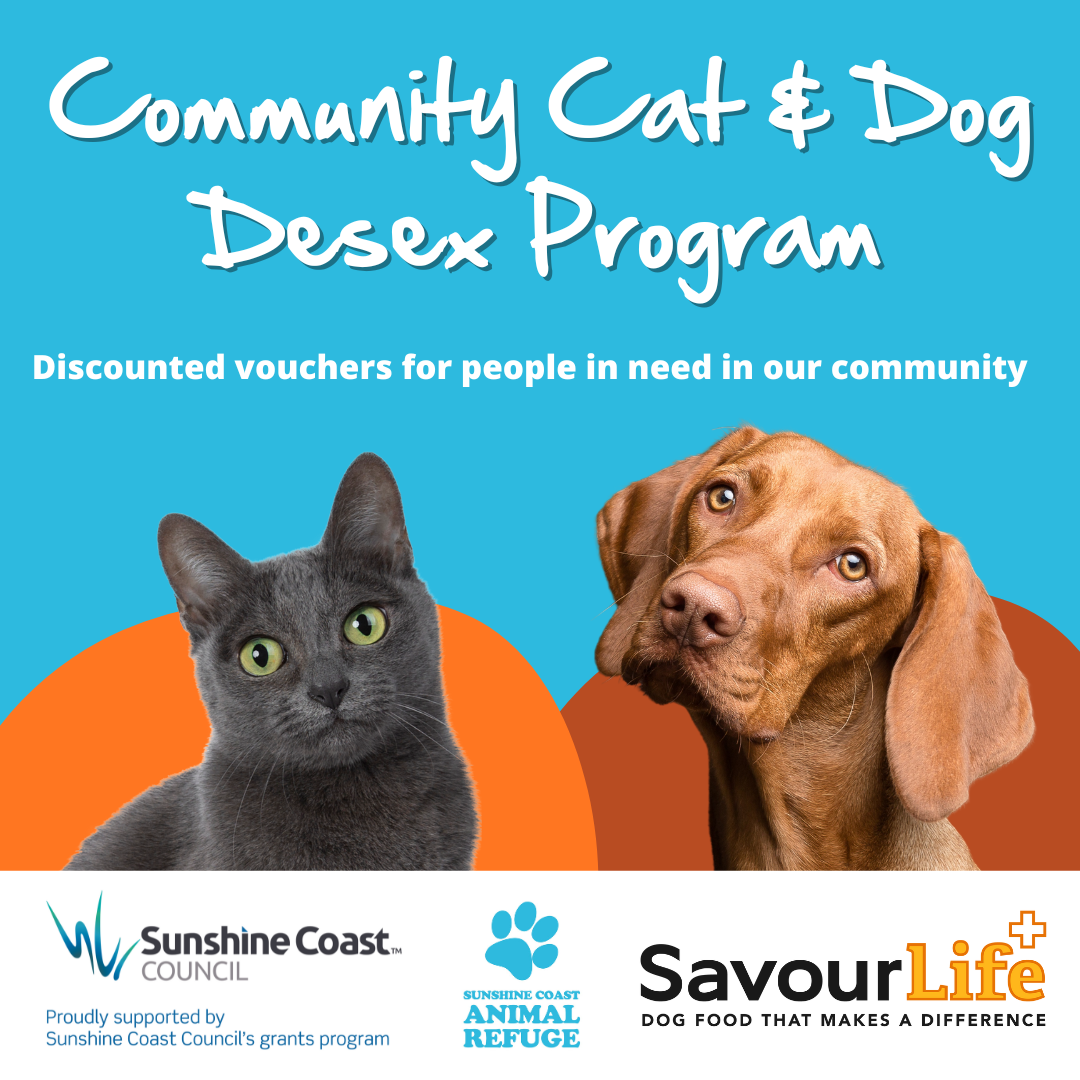 SCARS | Sunshine Coast Animal Refuge