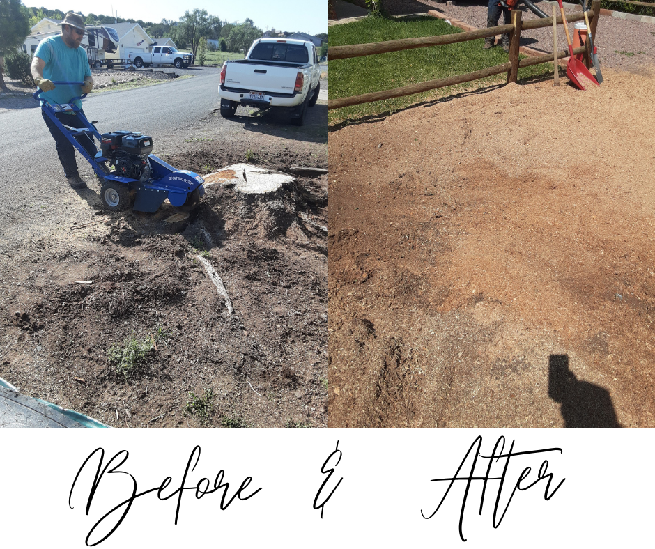 Stump Grinding 101 — White Mountains Tree Service