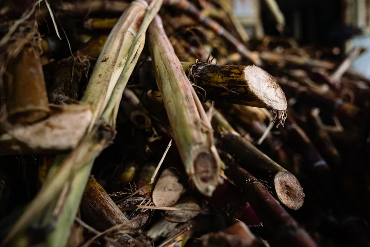 Services 1 — Takamaka Rum