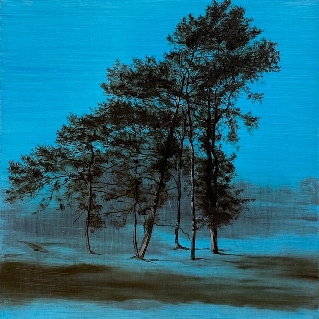 Rachel McDonnell — Paragon Gallery | Cheltenham Art Gallery