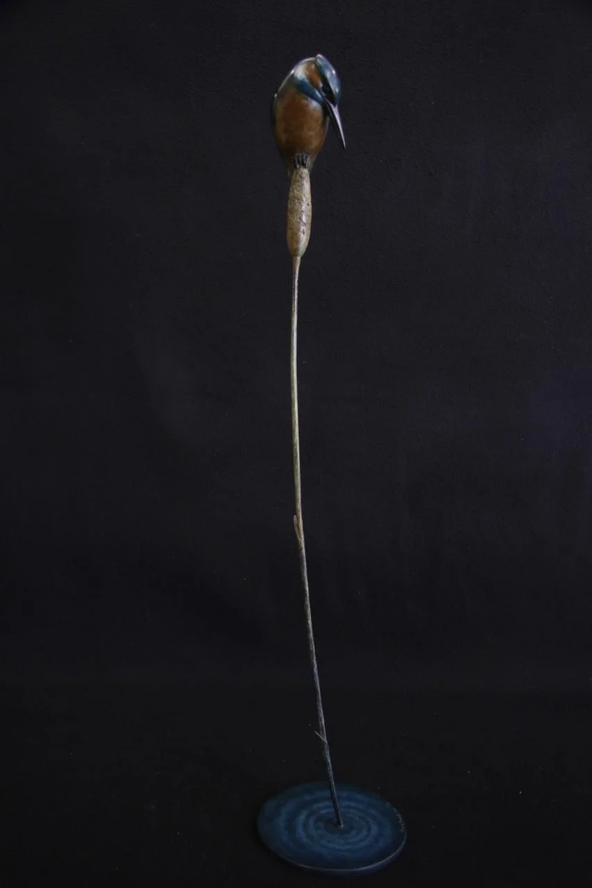 Adam Binder — Paragon Gallery | Cheltenham Art Gallery