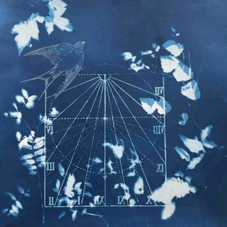 Anne Guest — Paragon Gallery | Cheltenham Art Gallery