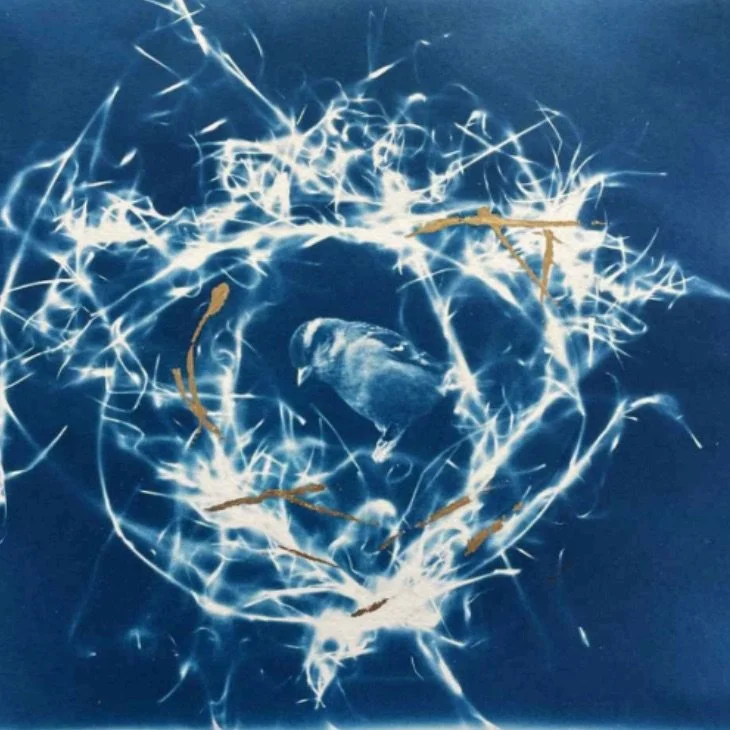 Anne Guest — Paragon Gallery | Cheltenham Art Gallery