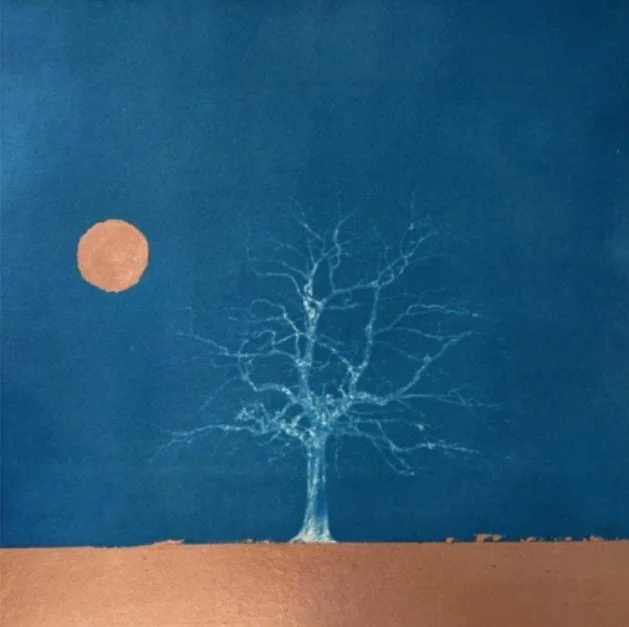 Anne Guest — Paragon Gallery | Cheltenham Art Gallery