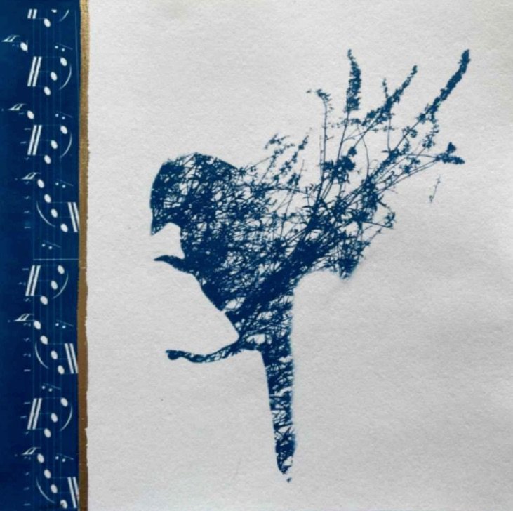 Anne Guest — Paragon Gallery | Cheltenham Art Gallery