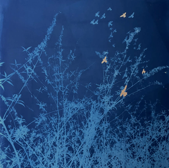 Anne Guest — Paragon Gallery | Cheltenham Art Gallery