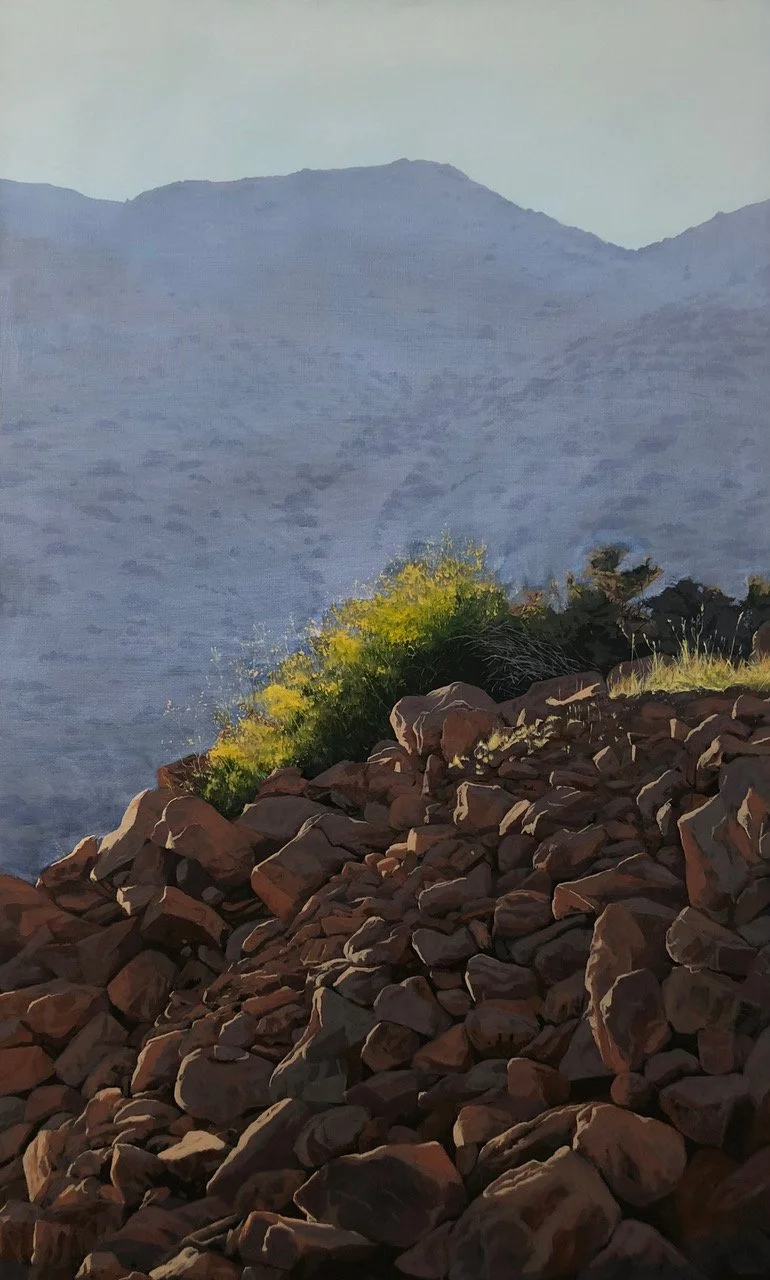 Rachel McDonnell — Paragon Gallery | Cheltenham Art Gallery