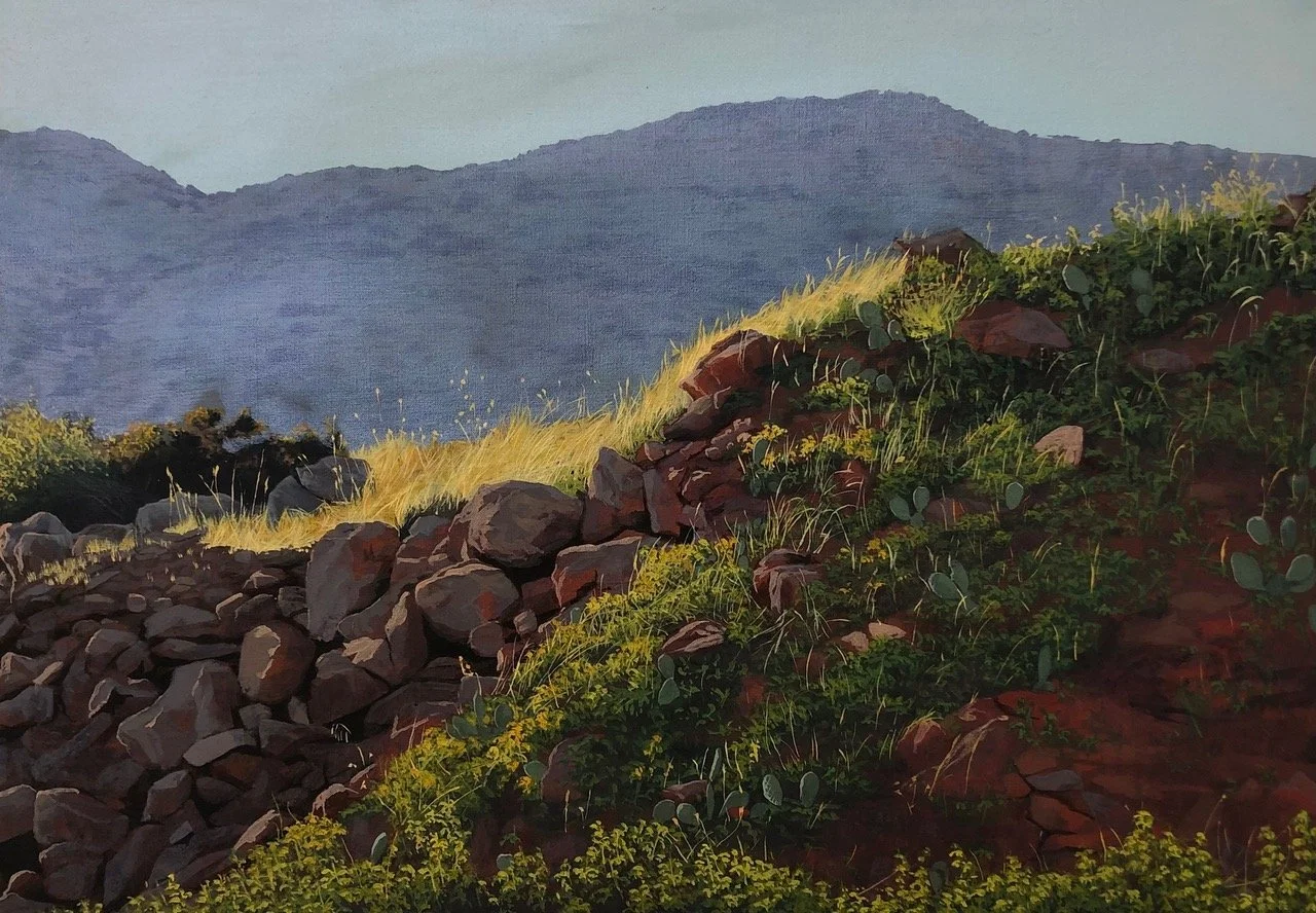 Rachel McDonnell — Paragon Gallery | Cheltenham Art Gallery