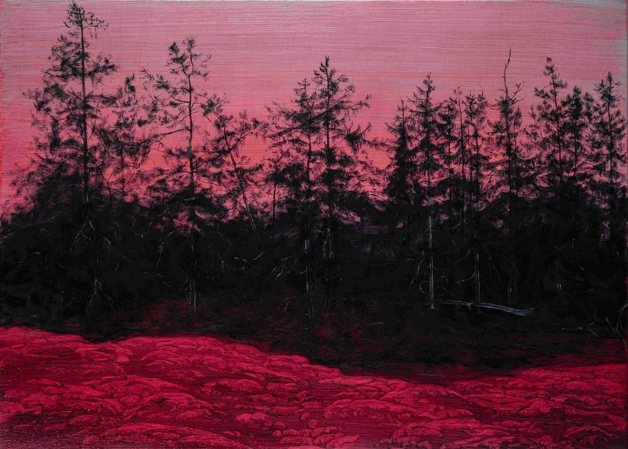 Rachel McDonnell — Paragon Gallery | Cheltenham Art Gallery