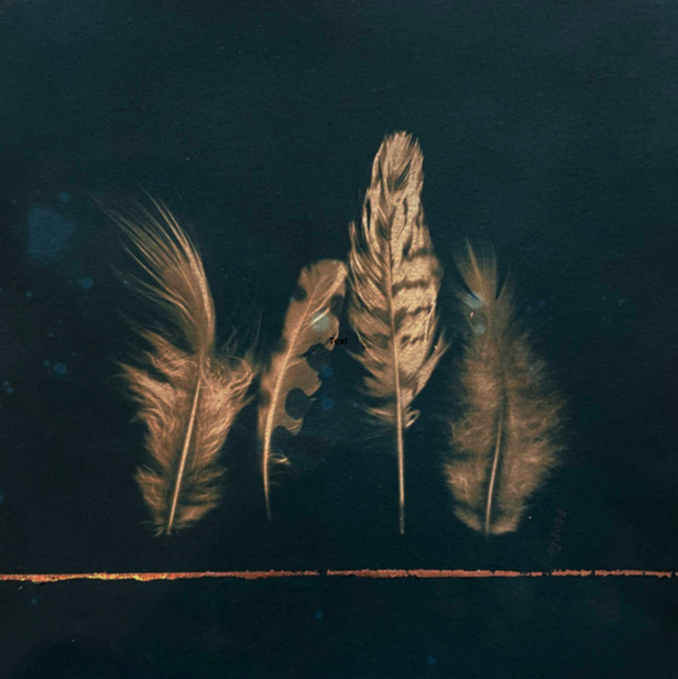 Anne Guest — Paragon Gallery | Cheltenham Art Gallery