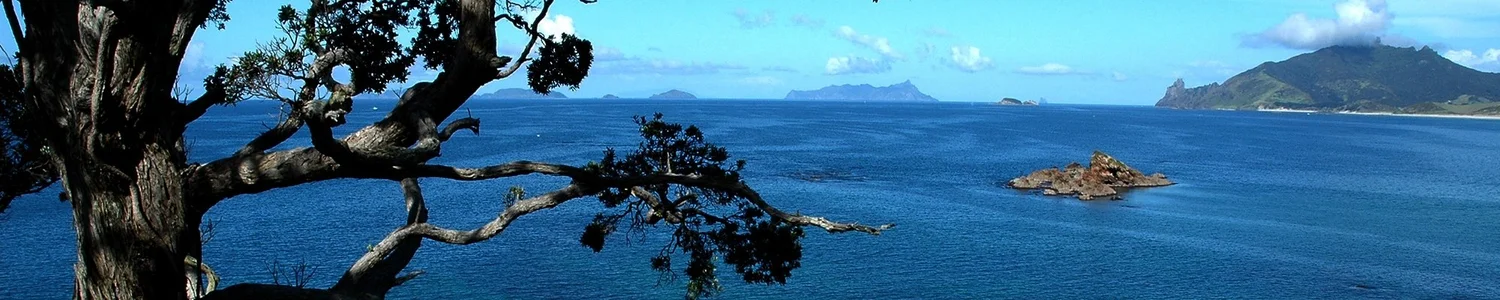 Pakikaikutu — Te Tāwharau o Ngāti Pūkenga