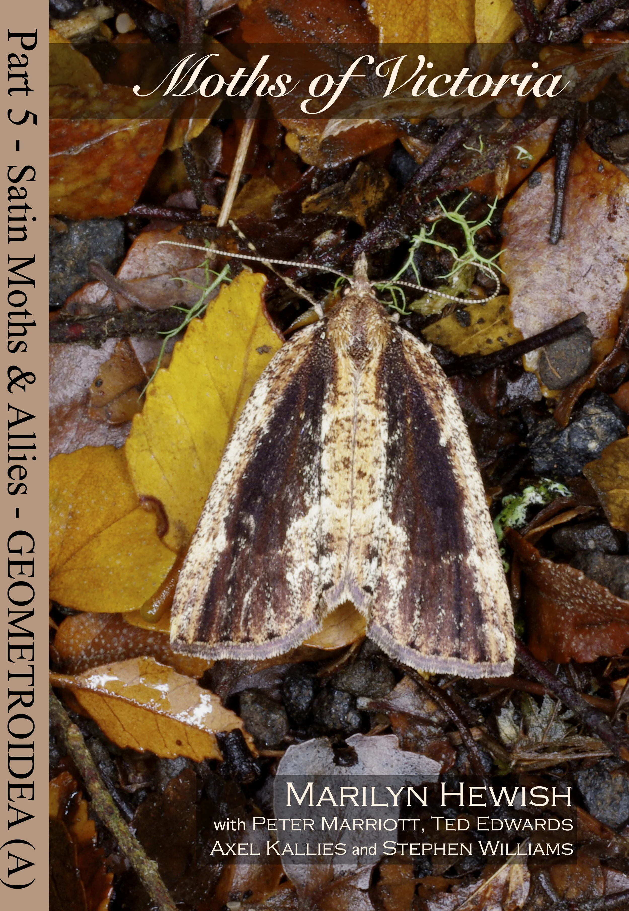 Moths of Victoria - Complete Set — The Entomological Society of Victoria