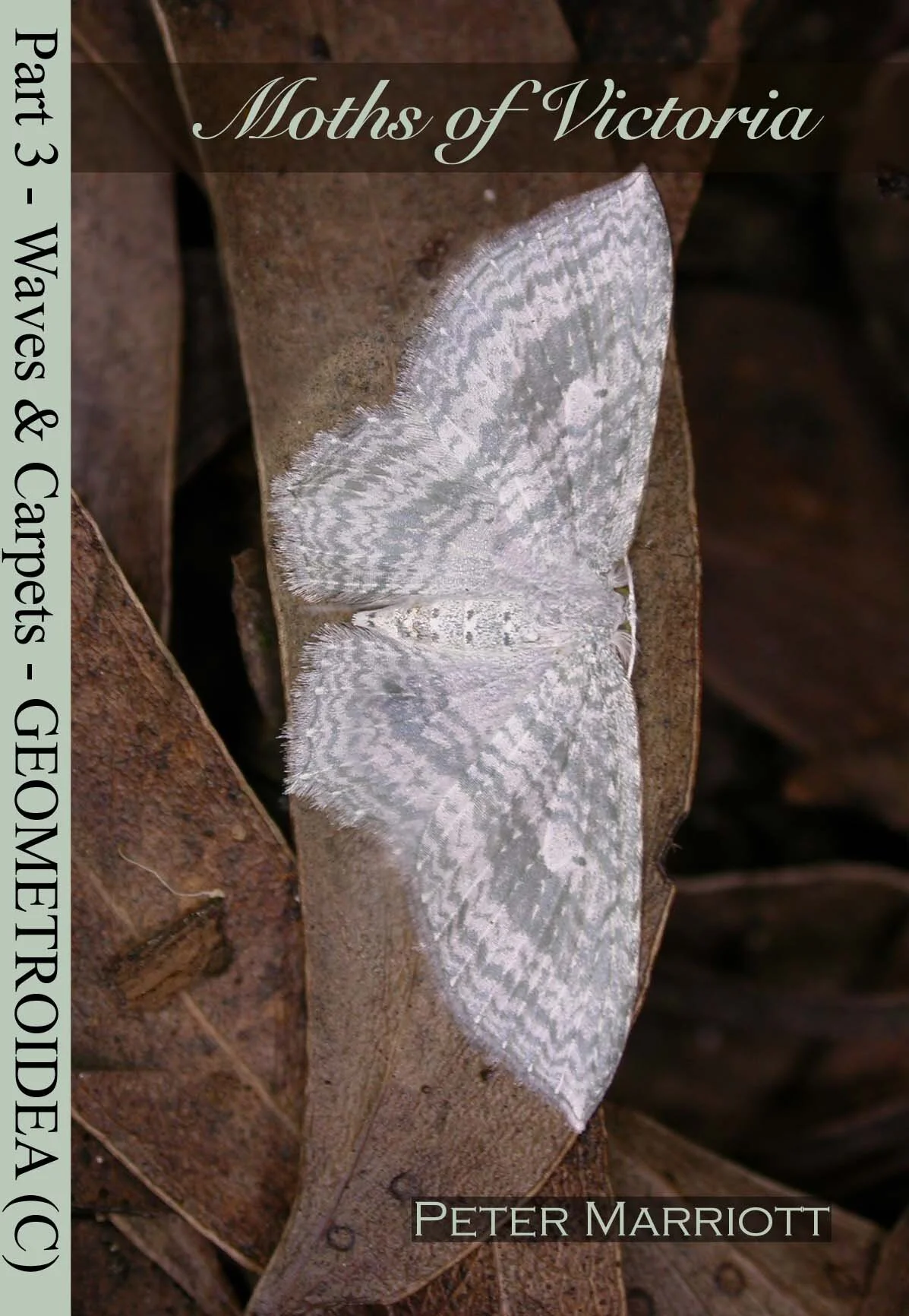 Store — The Entomological Society of Victoria