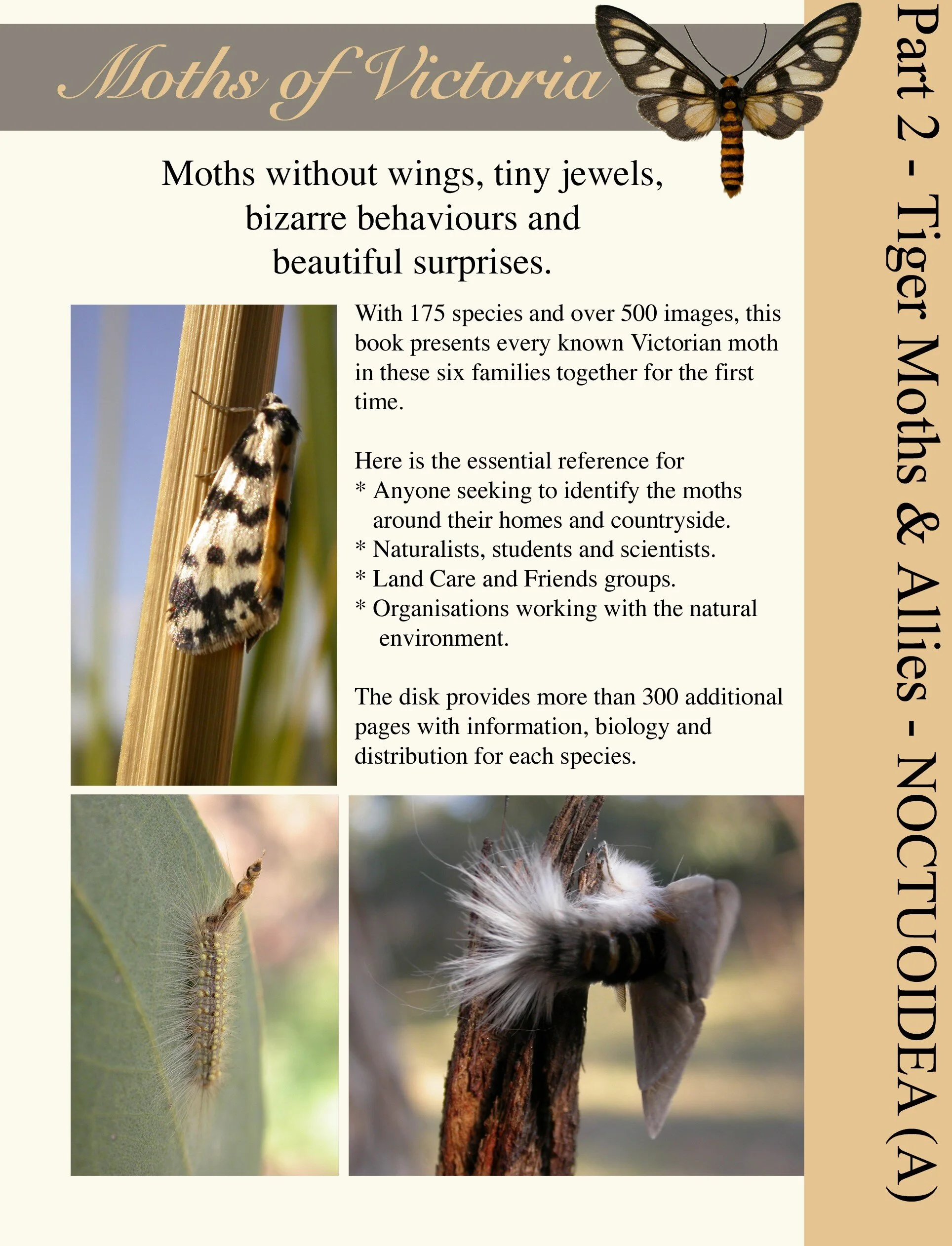 Store — The Entomological Society of Victoria