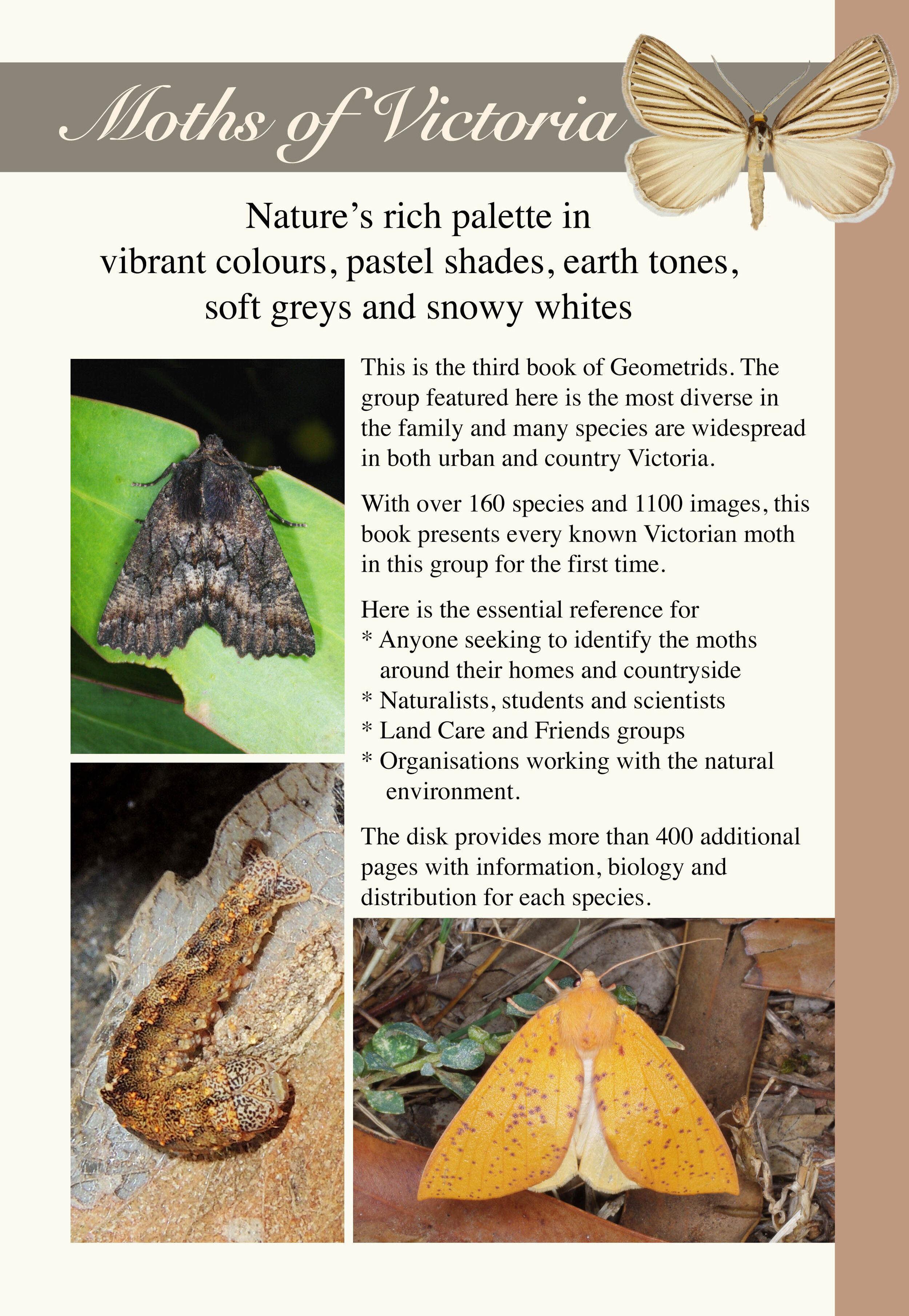 Store — The Entomological Society of Victoria