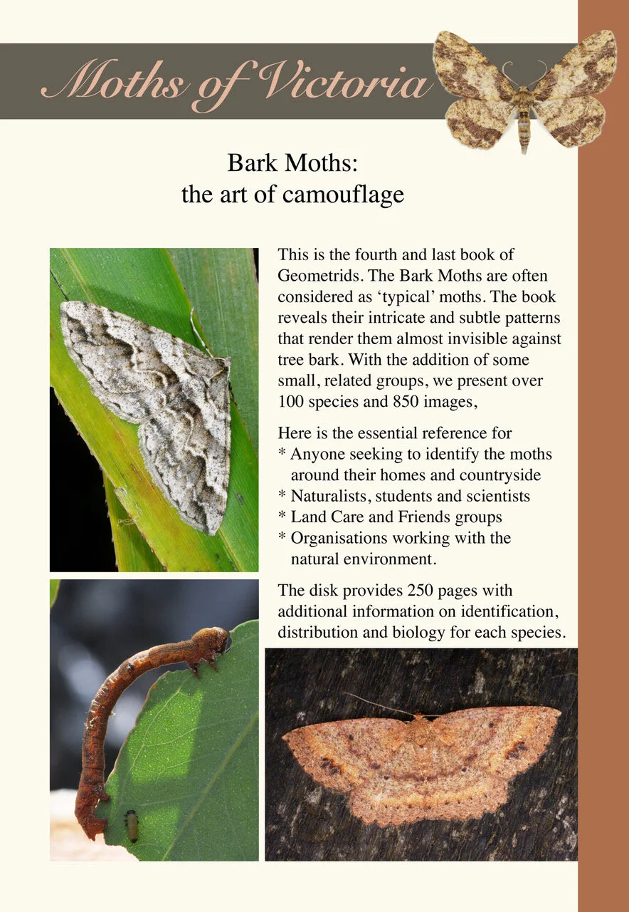 Moths of Victoria - Complete Set — The Entomological Society of Victoria