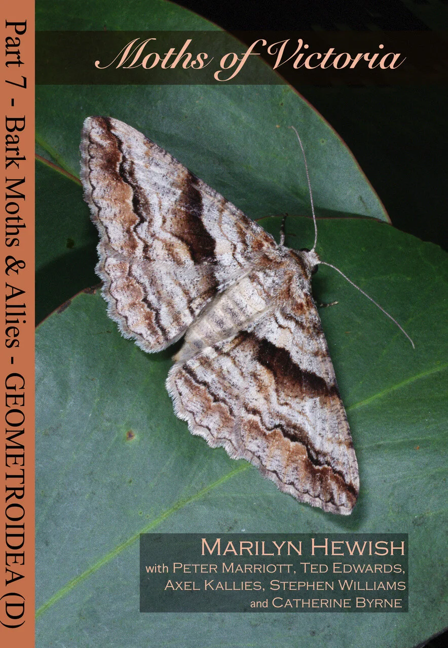 Moths of Victoria - Complete Set — The Entomological Society of Victoria