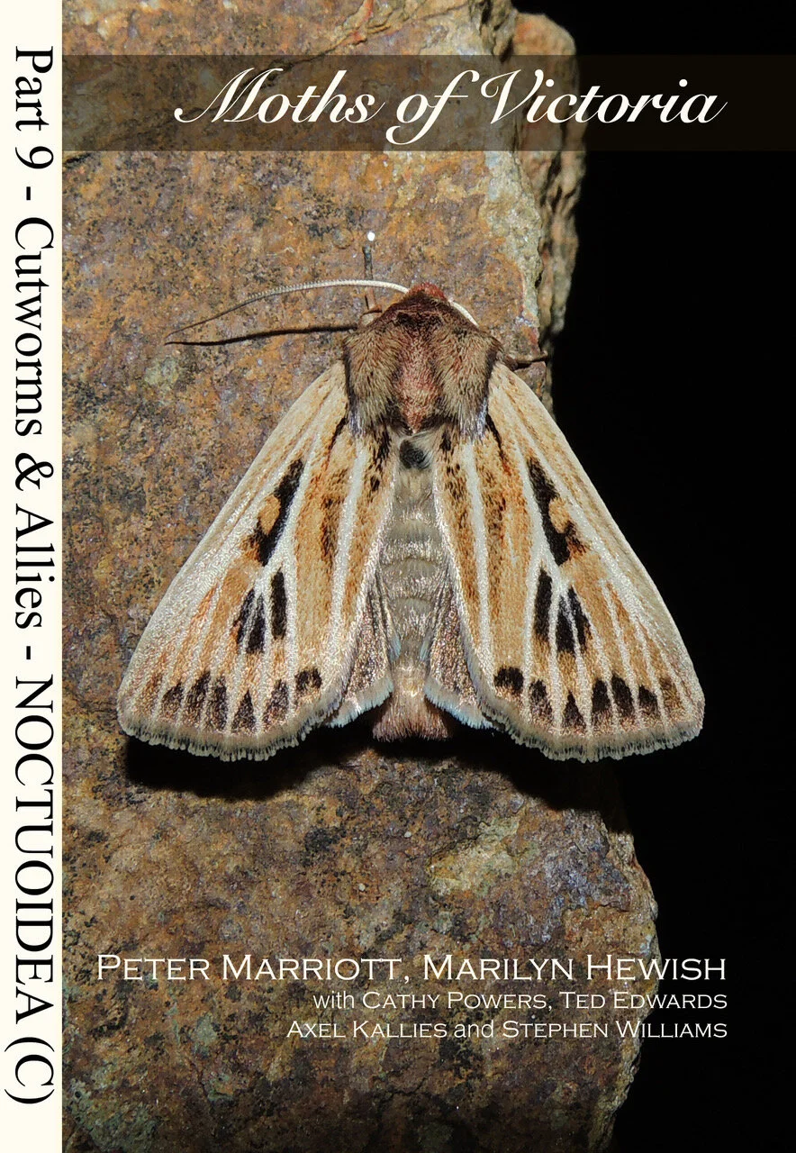 Moths of Victoria - Complete Set — The Entomological Society of Victoria