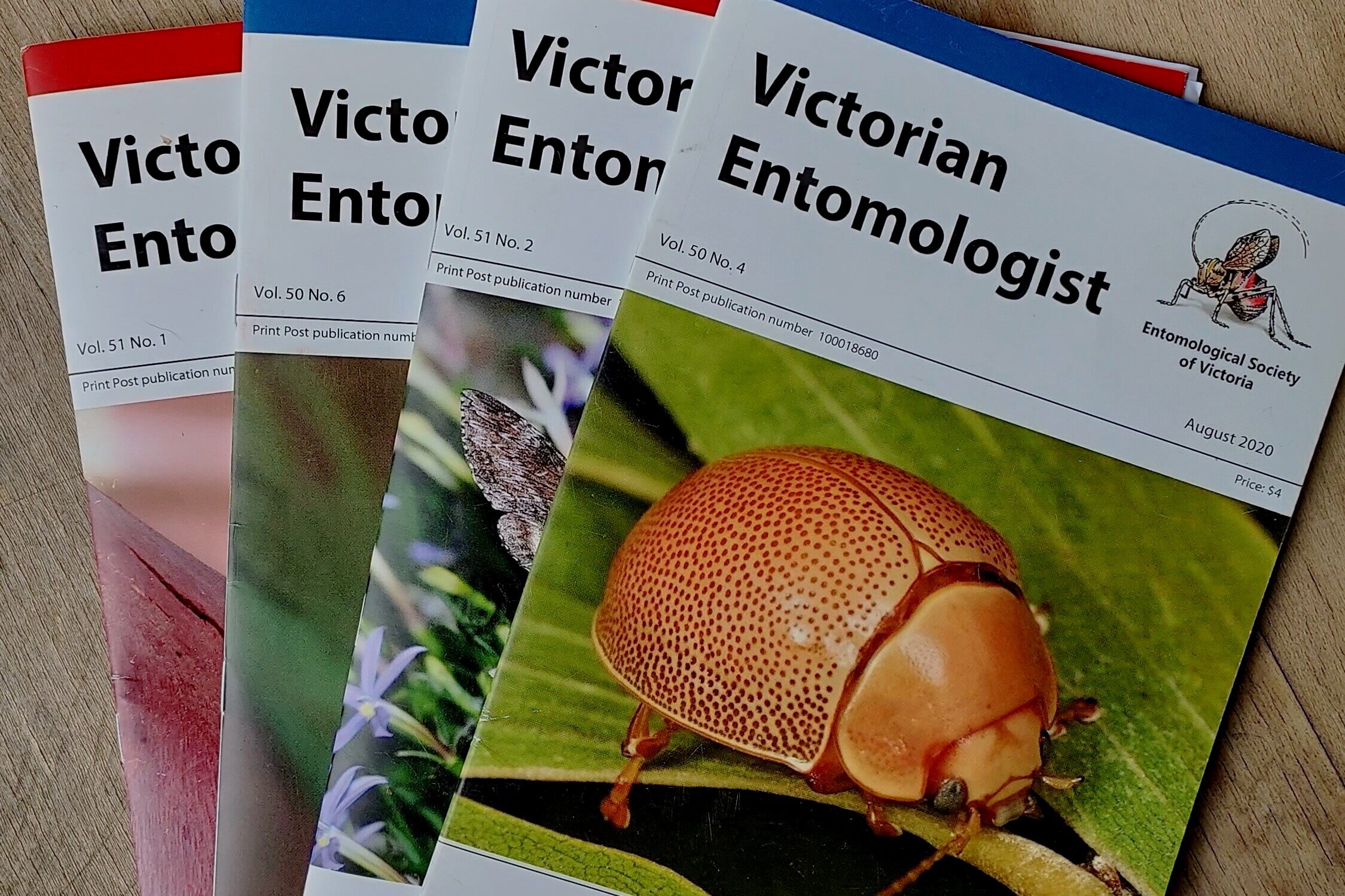 About — The Entomological Society of Victoria
