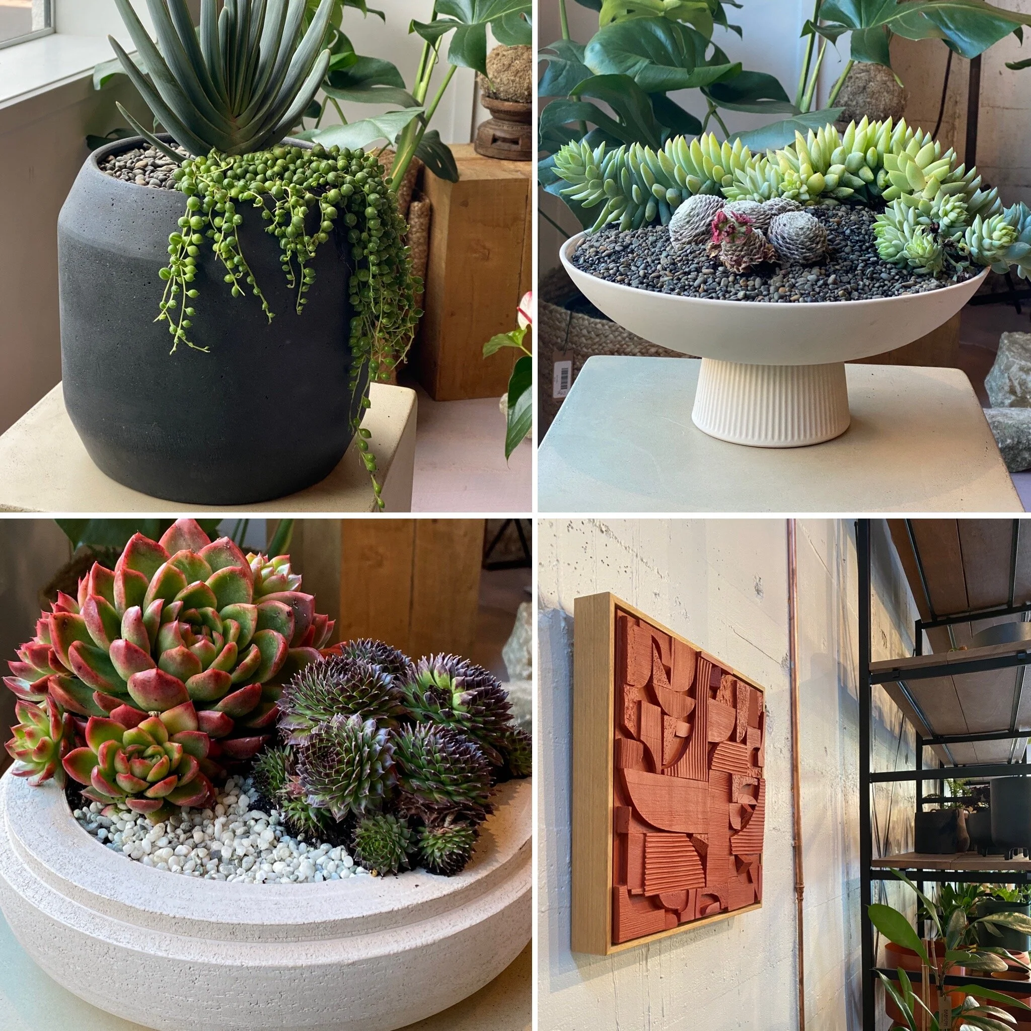 Babylon Store - pots, plants and botanical goods