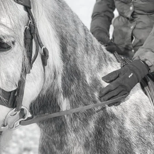 Helen Cowley Riding Academy