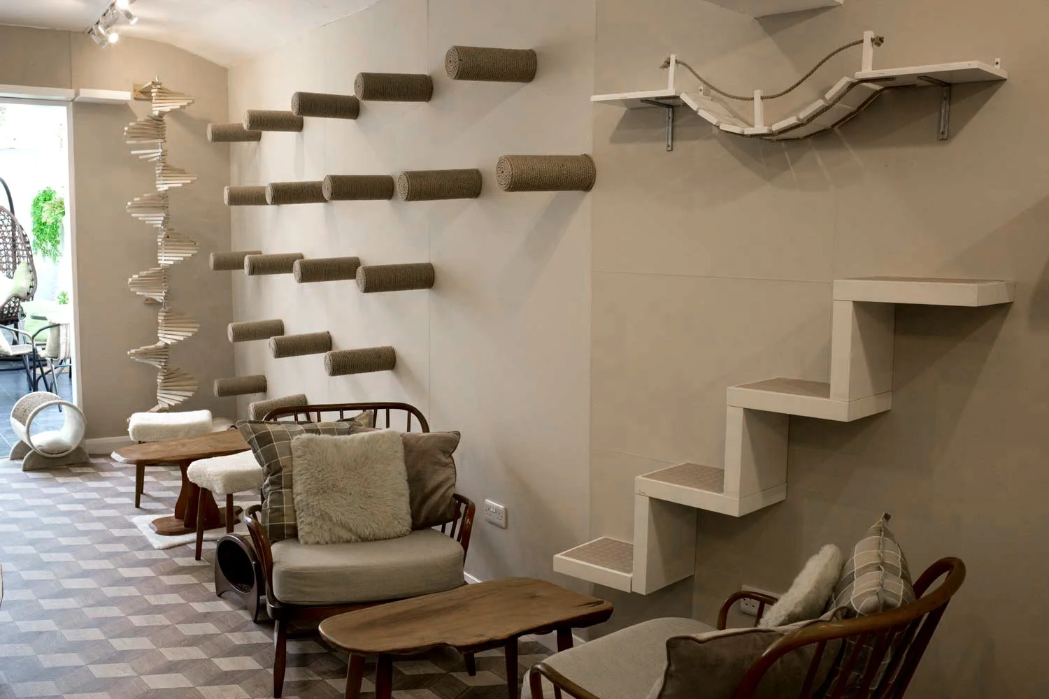 The Cat's Whiskers Cat Cafe | Discover Goodramgate, York