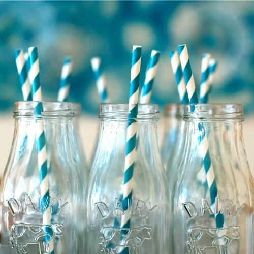 Parties — Luminous Elephant Studios