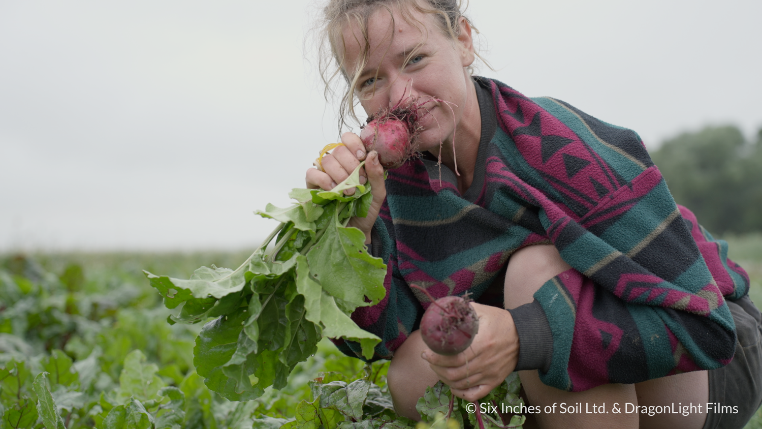 Six Inches of Soil Documentary Screening Now — Six Inches of Soil