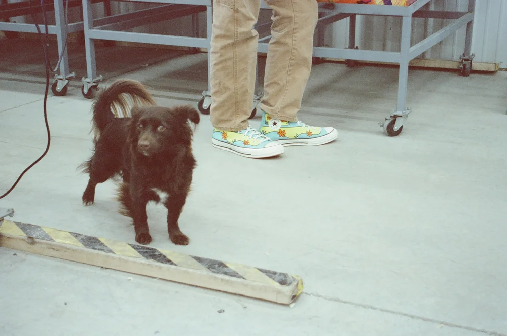 Mad Scientists: Is This the Year Spooky Makes the Jump? — Nudge