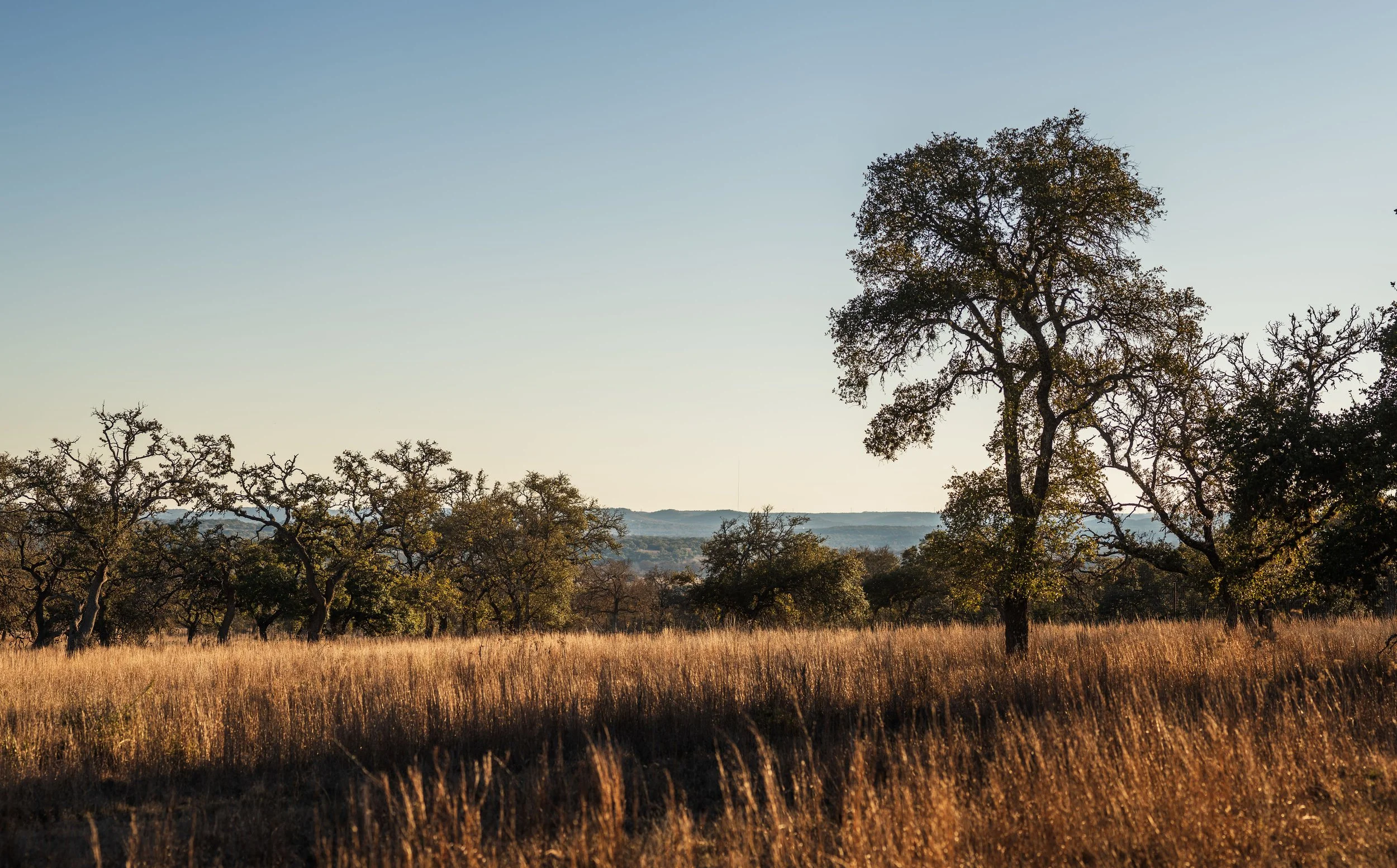 The Property — Dos Palomas Ranch