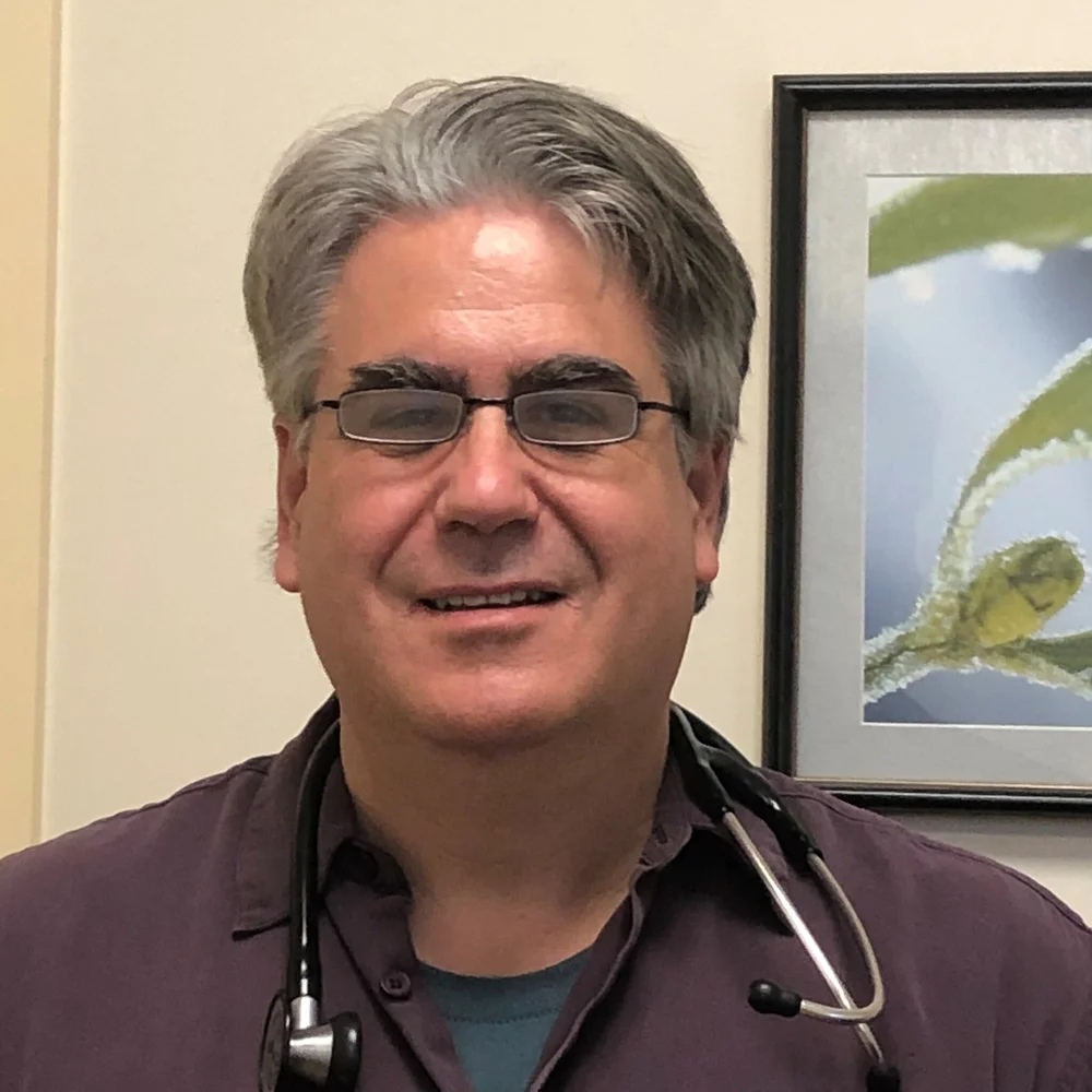 Mistletoe Courses — Physicians' Association for Anthroposophic Medicine ...