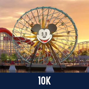 runDisney Charity Bibs — Team Red, White & Blue