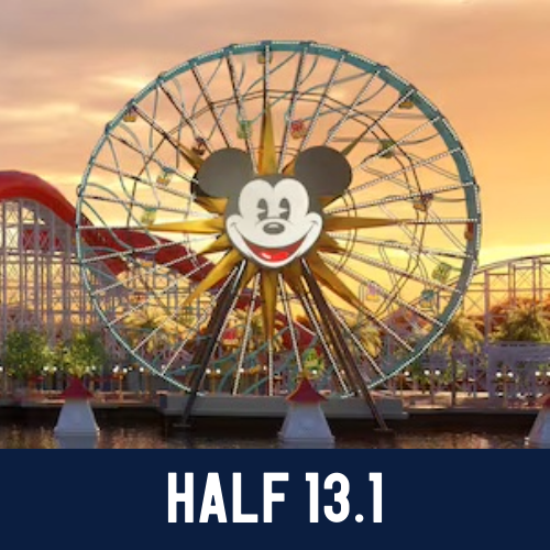 runDisney Charity Bibs — Team Red, White & Blue