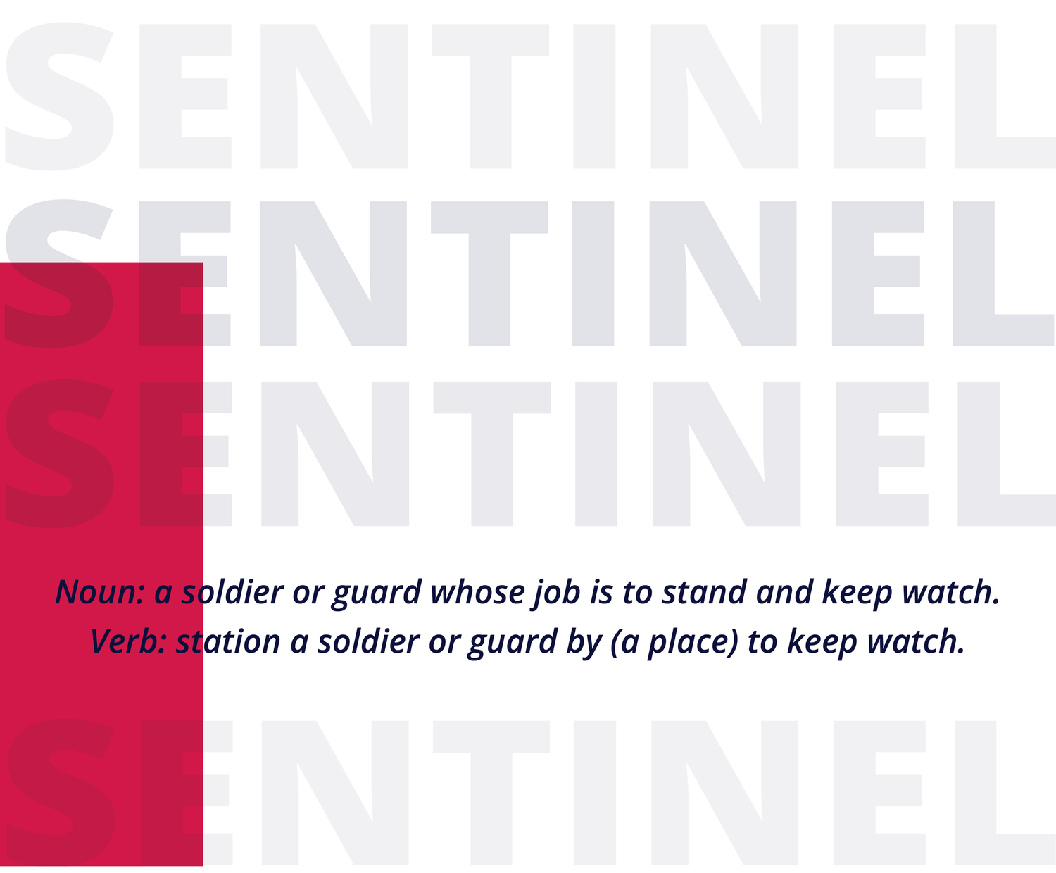 Team RWB Sentinel — Team Red, White & Blue