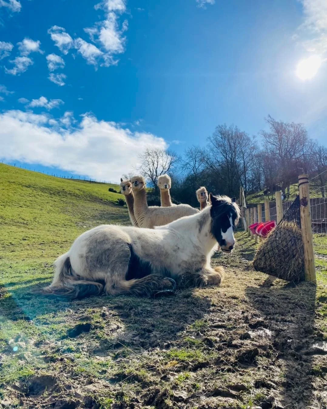 Graig Escapes - A Pentre Celyn Holiday Cottage & Scandinavian Cabins in ...