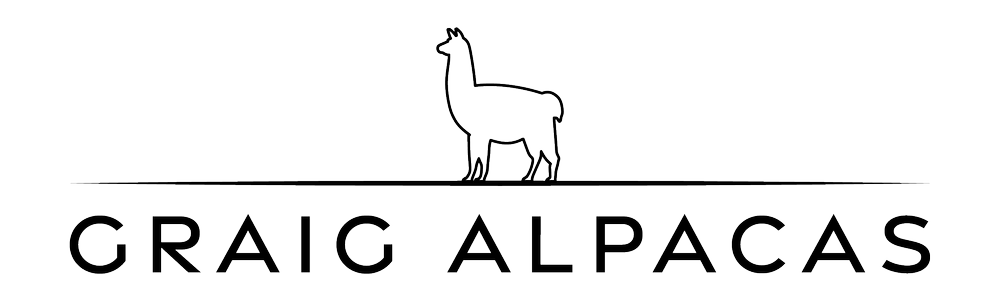 Graig Escapes - A Pentre Celyn Holiday Cottage & Scandinavian Cabins in ...