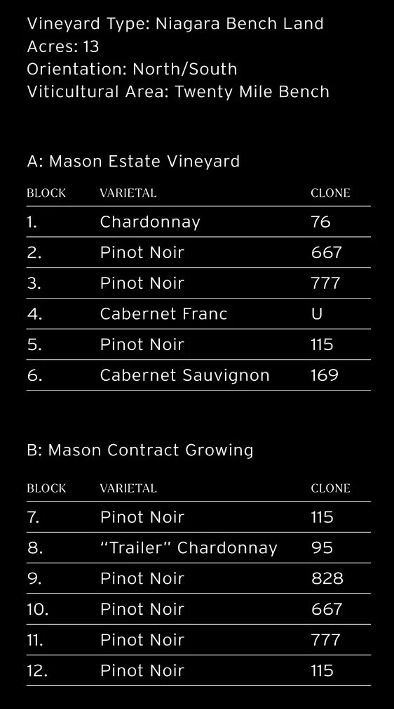 General 1 — Mason Vineyard