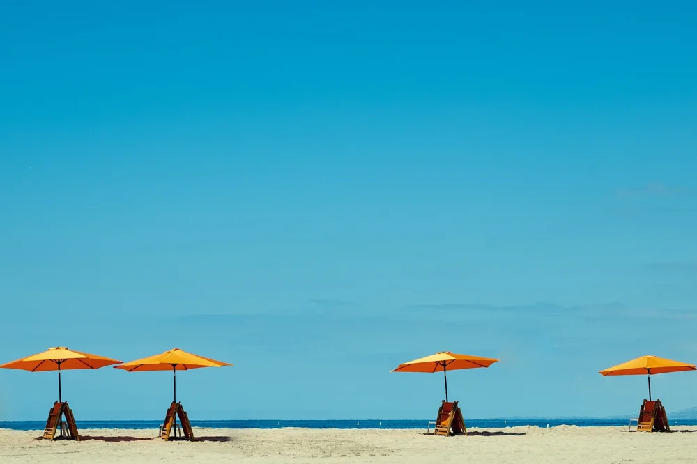 Flavors — PROJECT SEED COFFEE