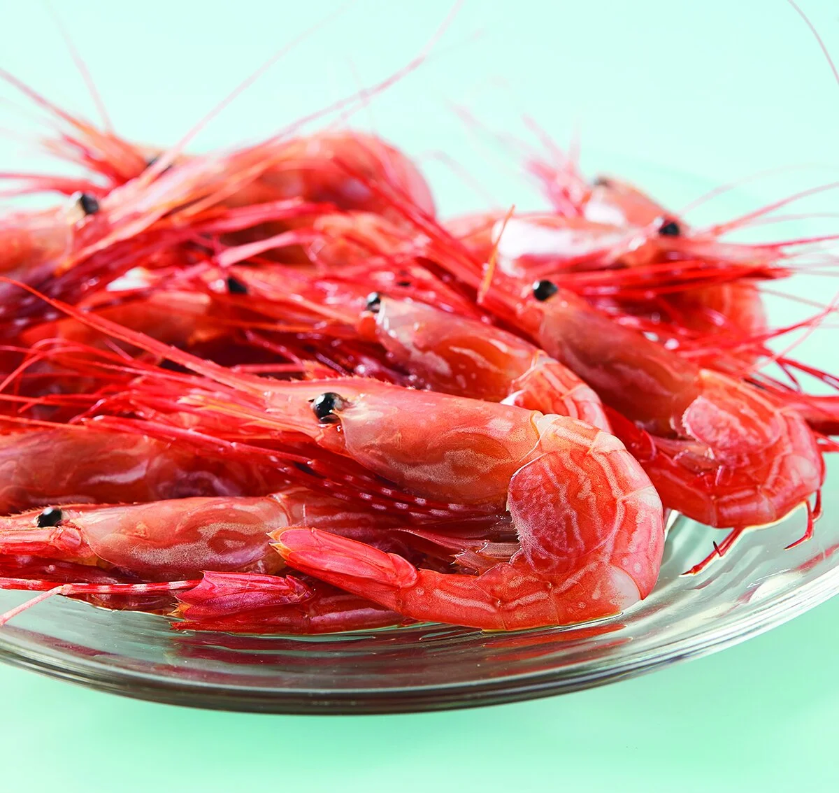 Our Products — NDS